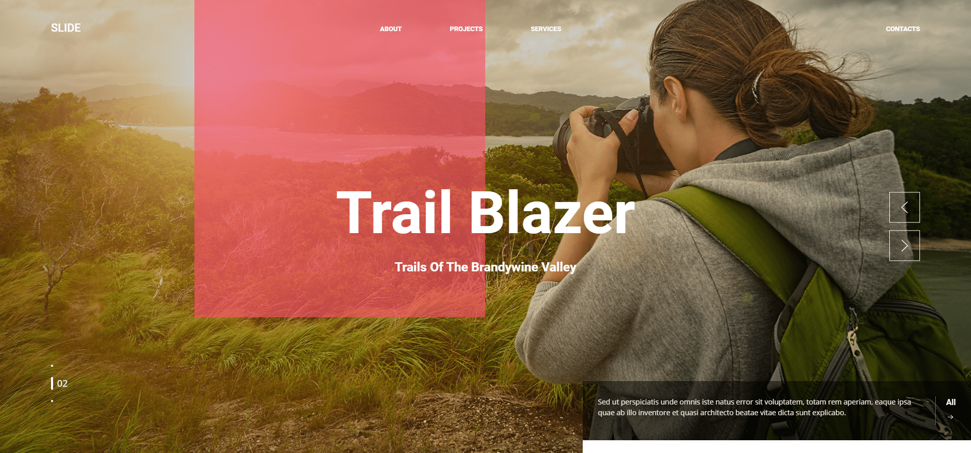 Best slider for elementor has been revealed : Prime slider pro ...