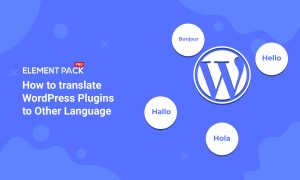 How to translate WordPress Plugins to Other Language easily - Element Pack Pro