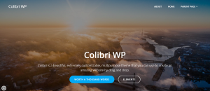 Top 20 Gutenberg Compatible WordPress Theme - Element Pack Pro